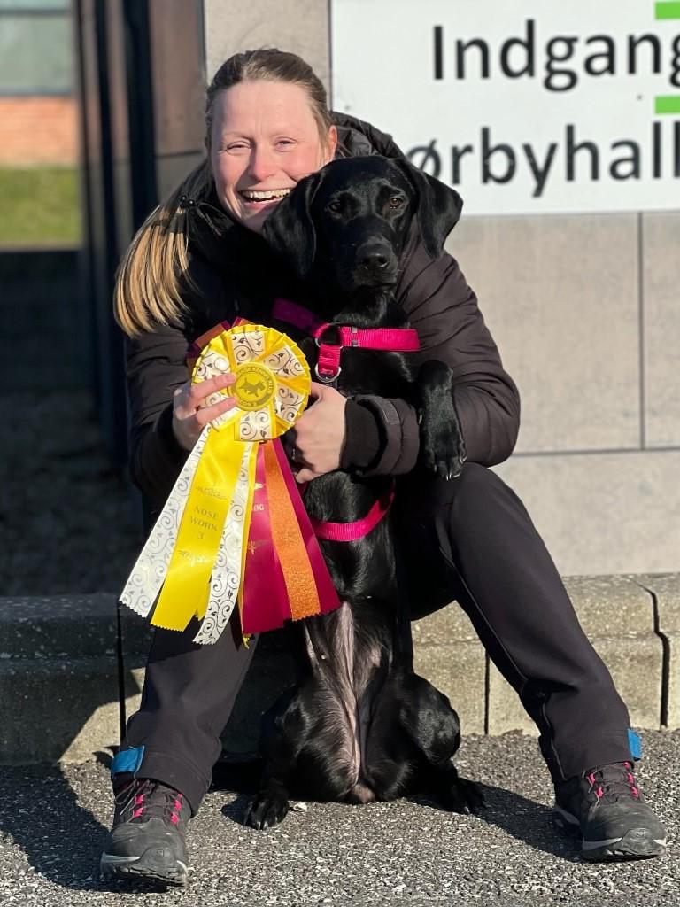 Field Trial Labrador Retriever Kennel Ravensbank